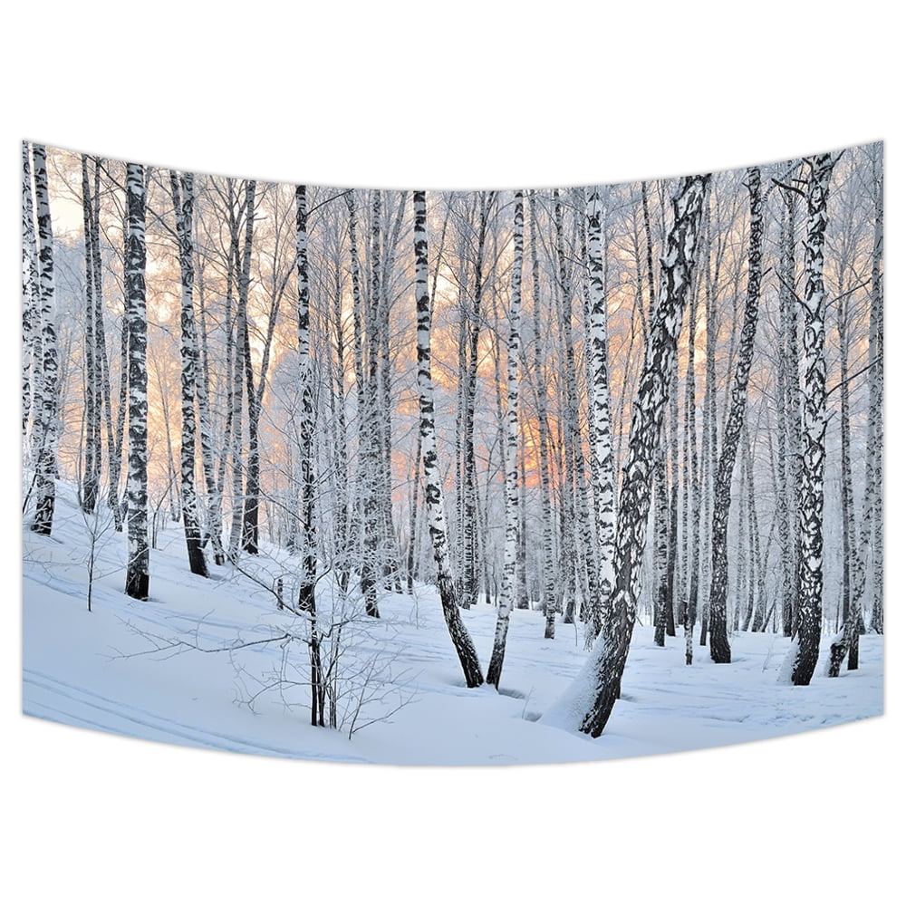YKCG Birch Tree Trunks White Snow Winter Sunin The Birchwood Pink ...