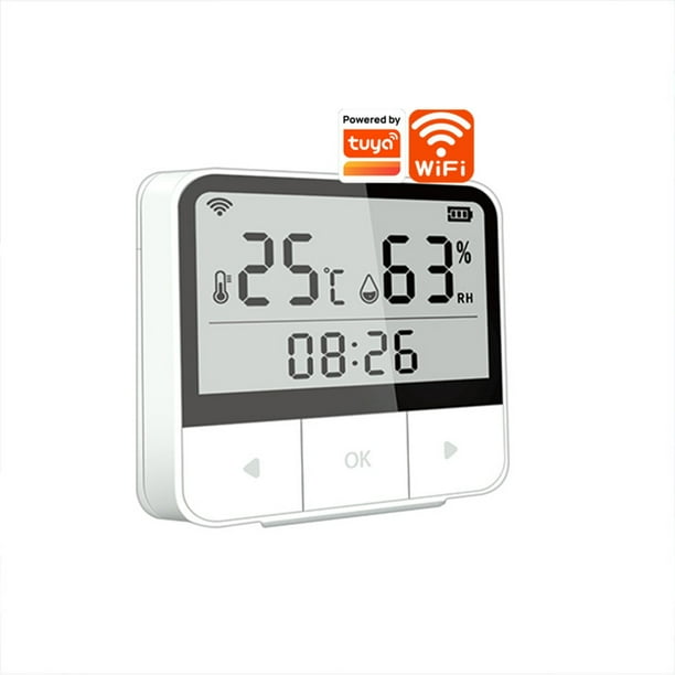 Ruibeauty Wireless Digital Temperature and Humidity Monitor Inside ...