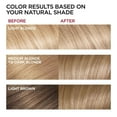 Pref Haircol 8A Size 1Ct Loreal Preference Hair Color Ash Blonde #8A ...
