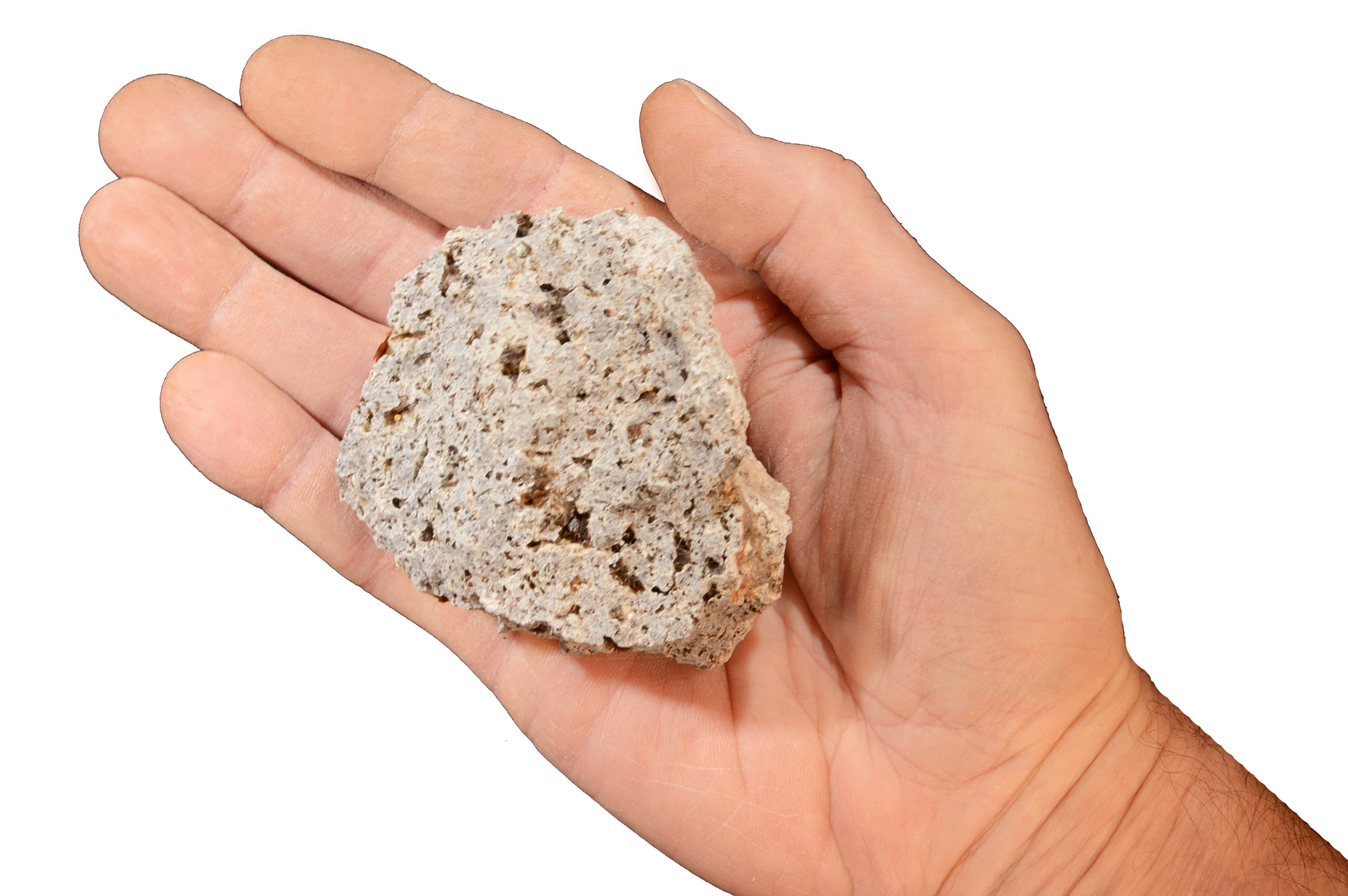 Kidz Rocks Biotite Mica In Andesite 3 1/2" 8-12 oz Raw Chakra Healing ...