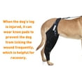 HAIYUE-Knee Brace for Dogs with Cruciate Ligament Injuries, Patella ...