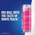 Red Bull Summer Edition Energy Drink, White Peach, 12 fl. oz. Can ...