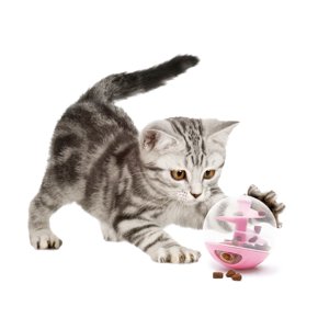 Cat Toys | Walmart.ca