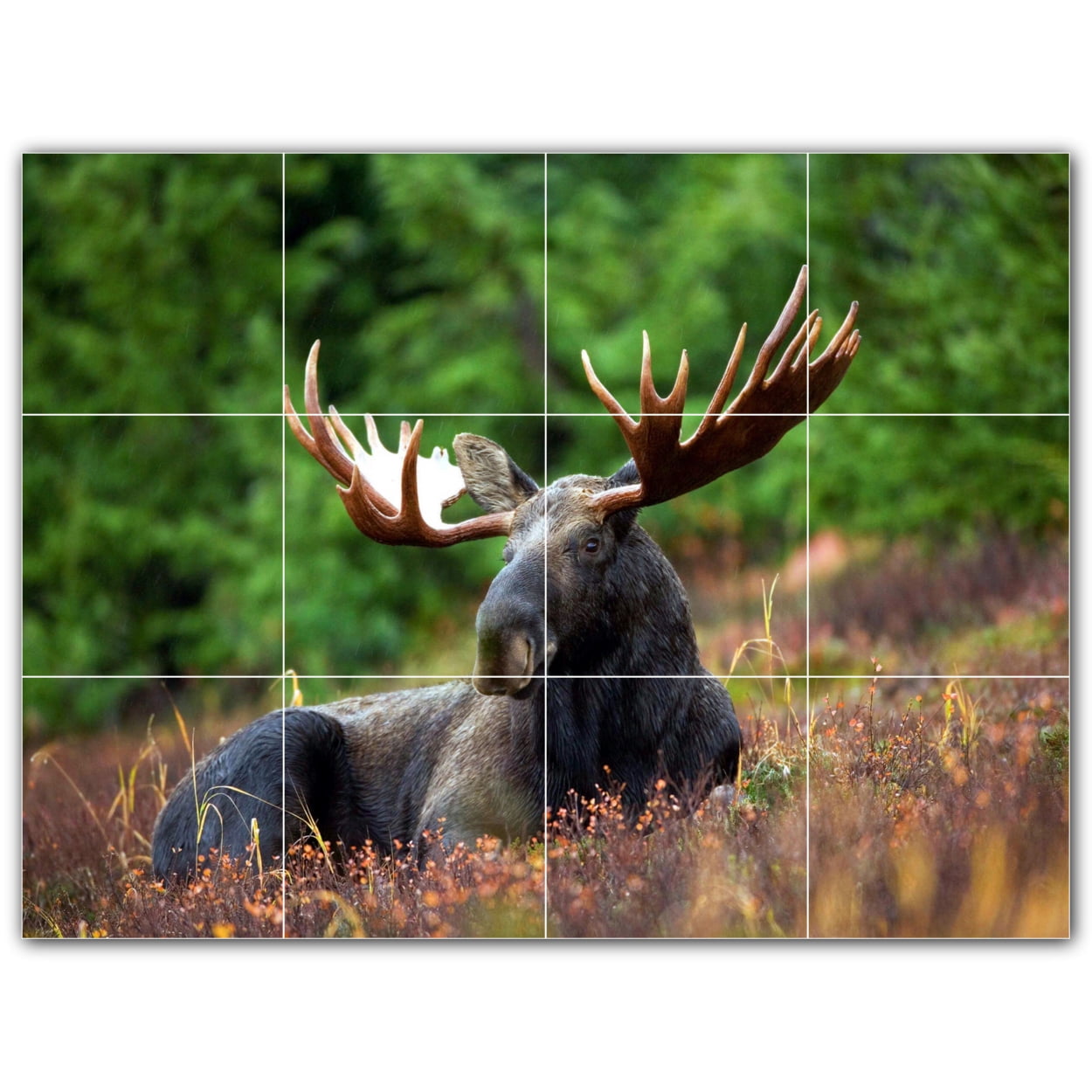 Picture-Tiles.com: Deer Ceramic Tile Wall Mural WAL500463-43S. 17"W x ...