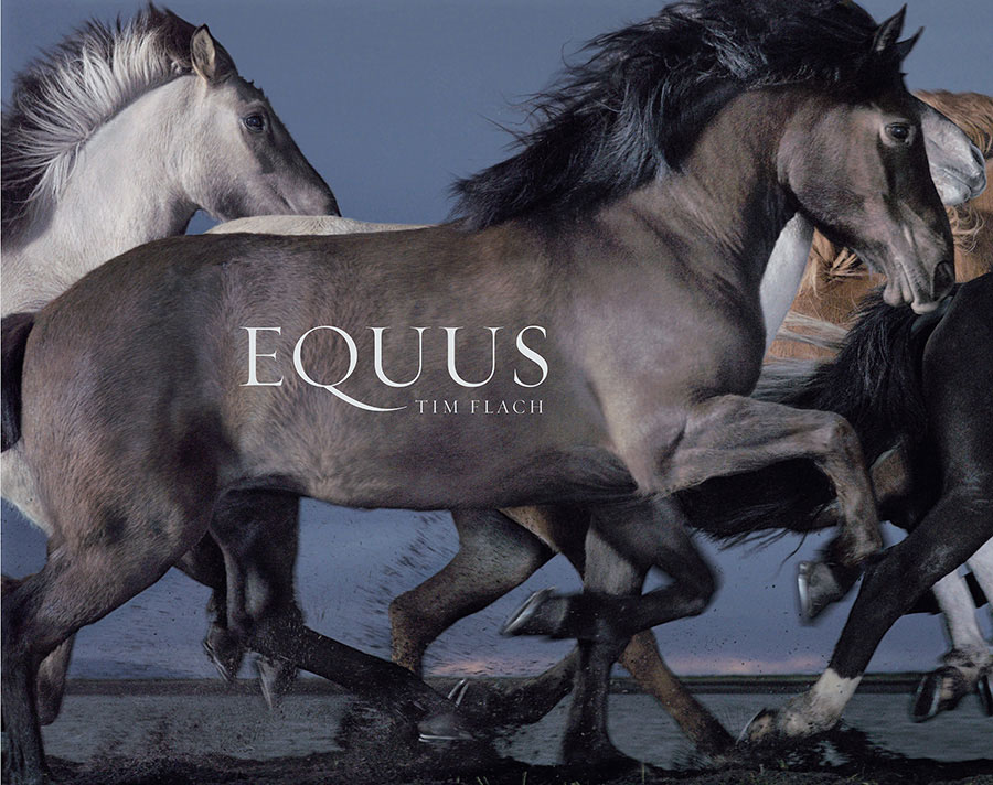 Equus (Hardcover) - Walmart.com