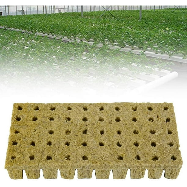 AMERTEER 50Pcs Rock Wool Cube 2.5X2.5X4CM Air / Water Balance Easy to ...