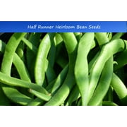 Half Runner Green Bean Seeds