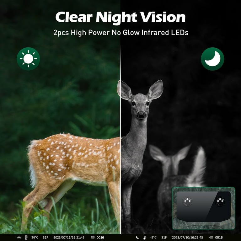 Deer Motion Sensor Camera