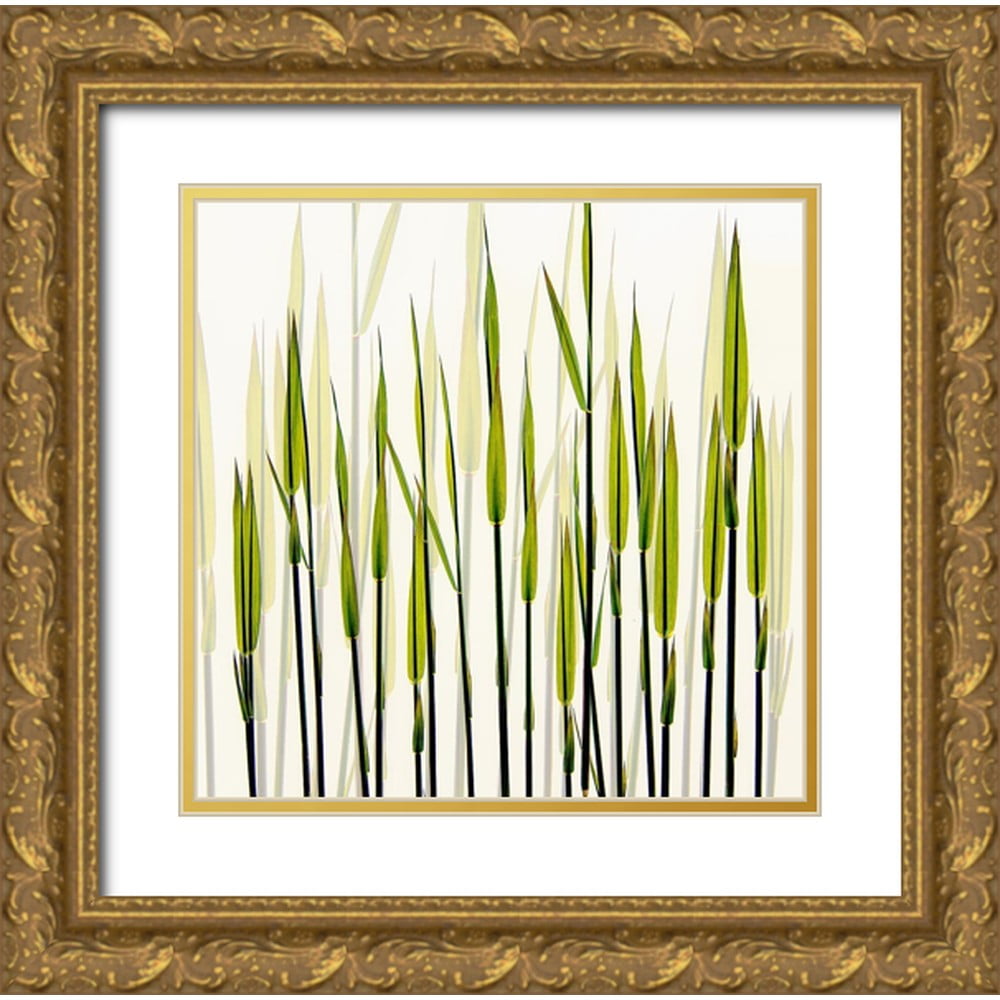 Talen, Nel 15x15 Gold Ornate Wood Framed with Double Matting Museum Art Print Titled - A new ...