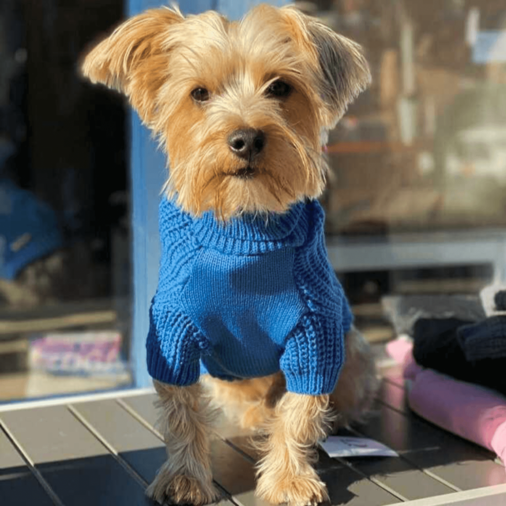 Mutt Turtleneck Sweater - Walmart.com