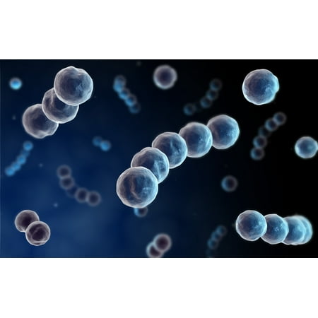Microscopic view of streptococcus Poster Print (35 x 22) | Walmart Canada