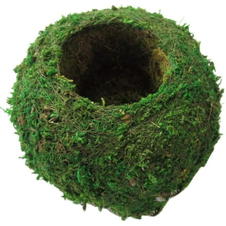 6 Inch Natural Planter Weave Moss Ball Kokedama Planter Bonsai Plant ...
