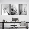 Black and White Wall Art Prints Set of 3, Dandelion Flower Canvas ...
