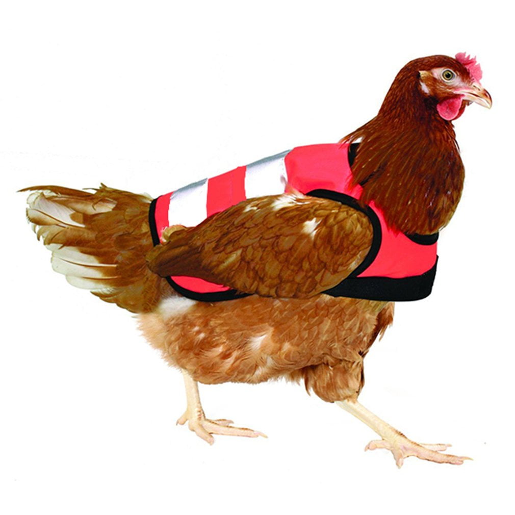 Chicken Safety Vest Adjustable Soft Harness Reflective Vest For Hen ...
