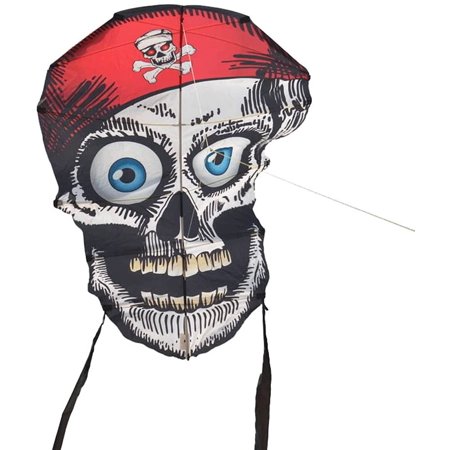 Swing and Dancing Skeleton Kite Fun Long-Tailed Kite for Adults and ...