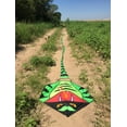 Hengda 49ft Green Big Snake Kite for Kids & Adults, Polyester, Perfect ...