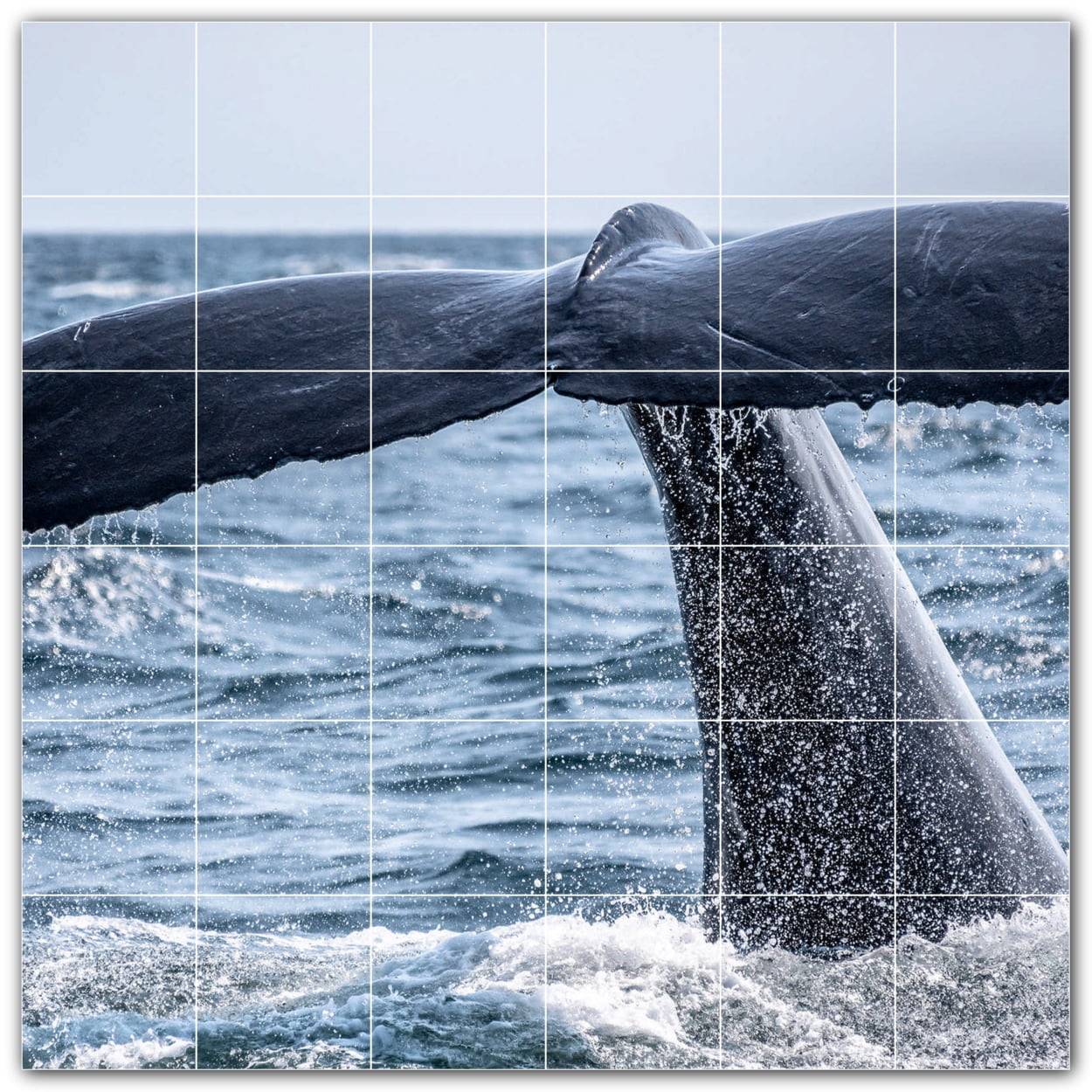Picture-Tiles.com: Whale Ceramic Tile Wall Mural WAL501198-66M. 36"W x ...