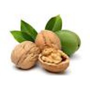Fresh Walnuts