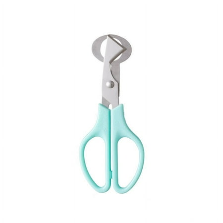 Stainless steel quail scissors, pack of 2 pigeon egg opening (blue ...