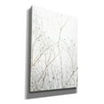 Epic Graffiti 'Gypsophila' by Elise Catterall, Giclee Canvas Wall Art ...