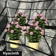 Adjustable 3x3FT Elastic Scrog Net with 8 Hooks for Grow Tents, SYITCUN ...