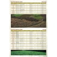 Whitetail Institute Imperial Whitetail Alfa Rack Plus Plot Seeds, 3.75 ...