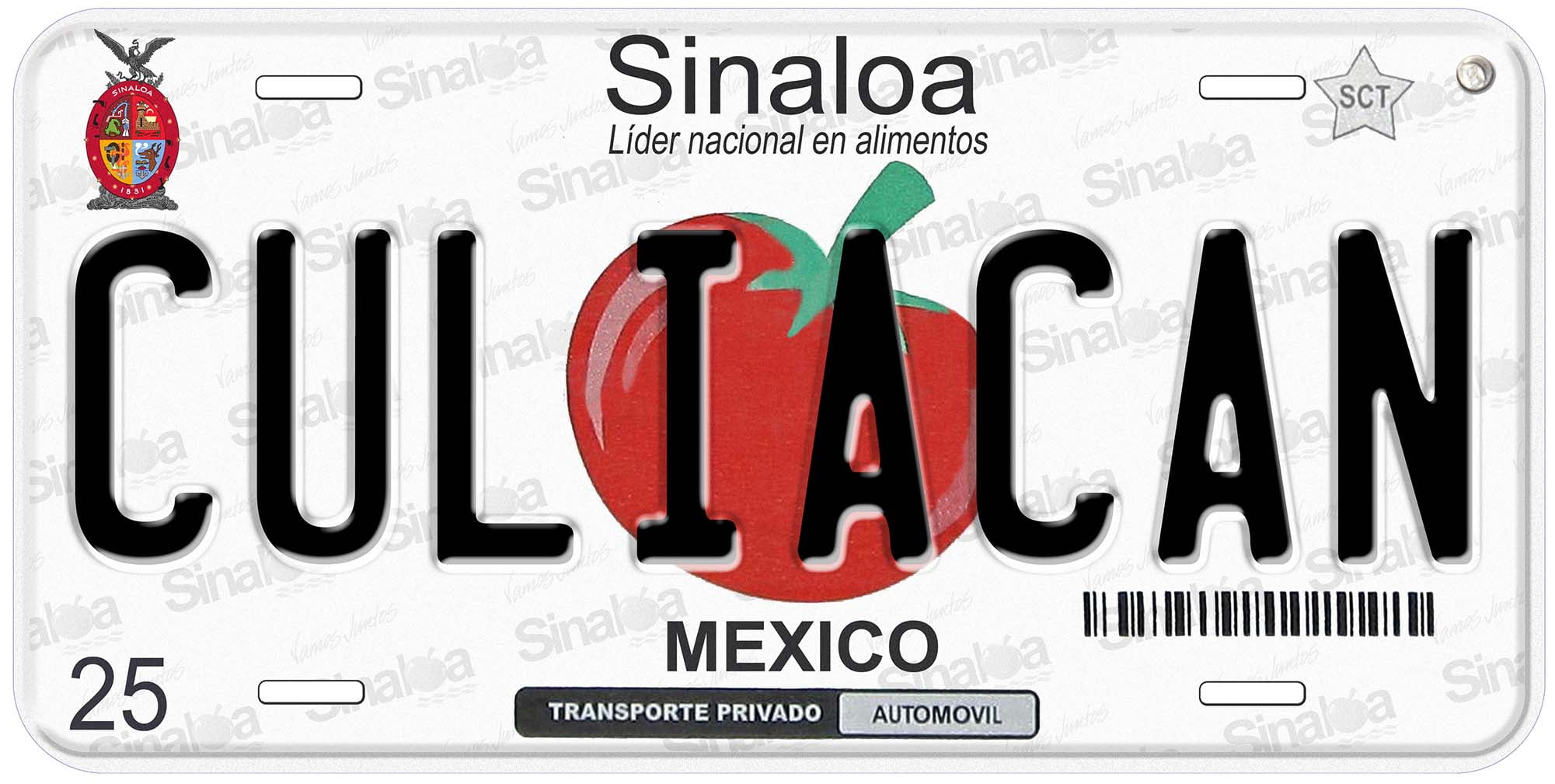 Culiacan Sinaloa Mexico Novelty Car License Plate - Walmart.com