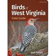 Bird Identification Guides Birds of Michigan Field Guide, (Paperback ...