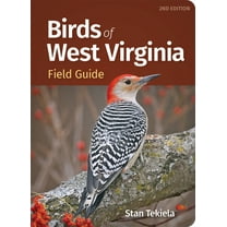 Bird Identification Guides Birds of Michigan Field Guide, (Paperback ...