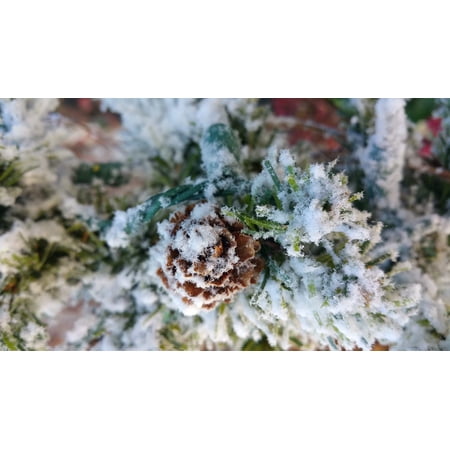 5 Pounds of the Original, Self-Adhesive, Professional Grade Snow Flock ...