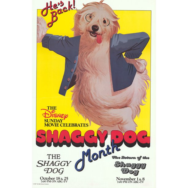 Shaggy Dog - movie POSTER (Style B) (11" x 17") (1974) - Walmart.com ...