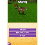 Pony Friends 2 - Nintendo DS - Walmart.com