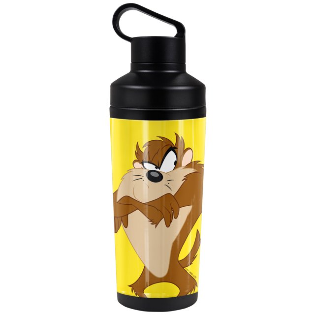 Looney Tunes Official Taz 18 oz Insulated Water Bottle, Leak Resistant ...