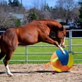 AOOOWER Dog Herding Ball Bladder for Outdoor Active Play and Exercise ...