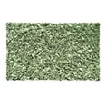 The Rug Market Shaggy Raggy Sage Area Rug, Size 22" x 34" - Walmart.com