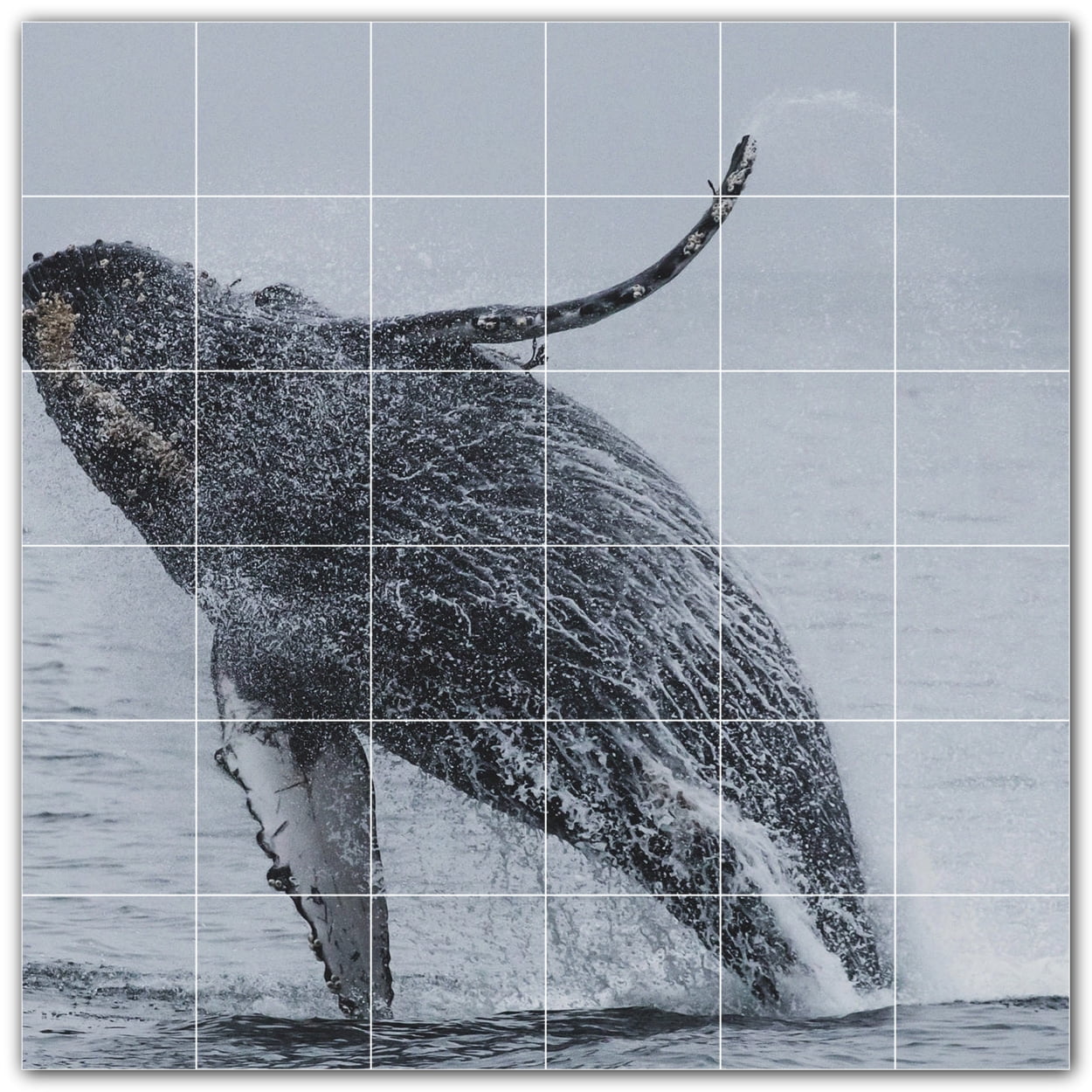 Picture-Tiles.com: Whale Ceramic Tile Wall Mural WAL501190-66XL. 72"W x ...