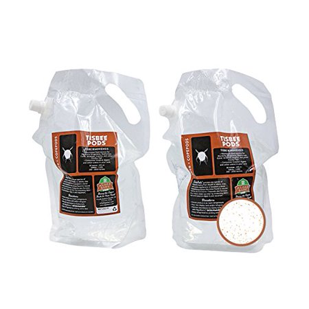 Tisbee Pods :: Live Copepods :: Tisbe biminiensis Copepods :: Cleans ...