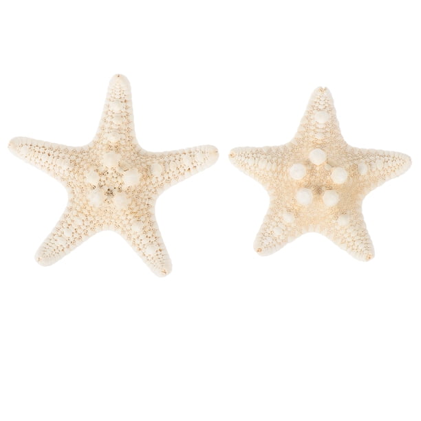 Natural Sea Star Decor 2Pcs Natural Sea Star Decors DIY Sea Star ...