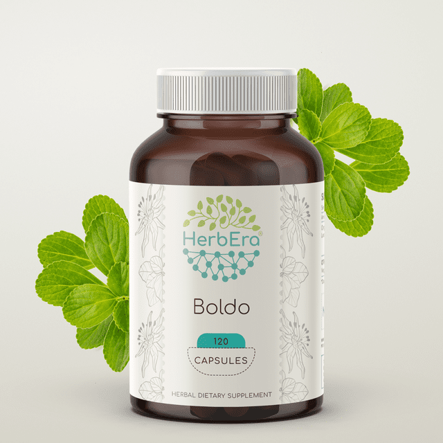 Boldo 60 Capsules, 500 mg, Organic Boldo (Peumus boldus) Dried Leaf ...