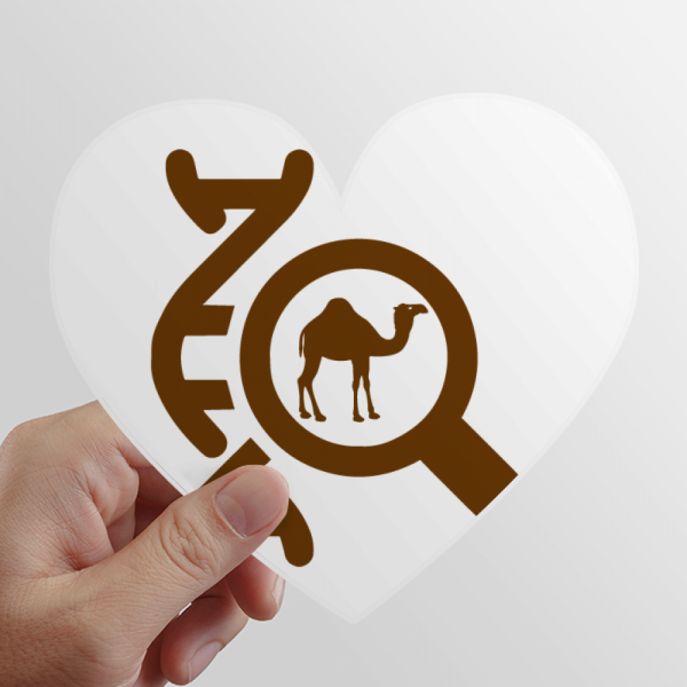 Zoo Gene Lupe Calcomanías cardíacas,calcomanías para equipaje | Bodega ...