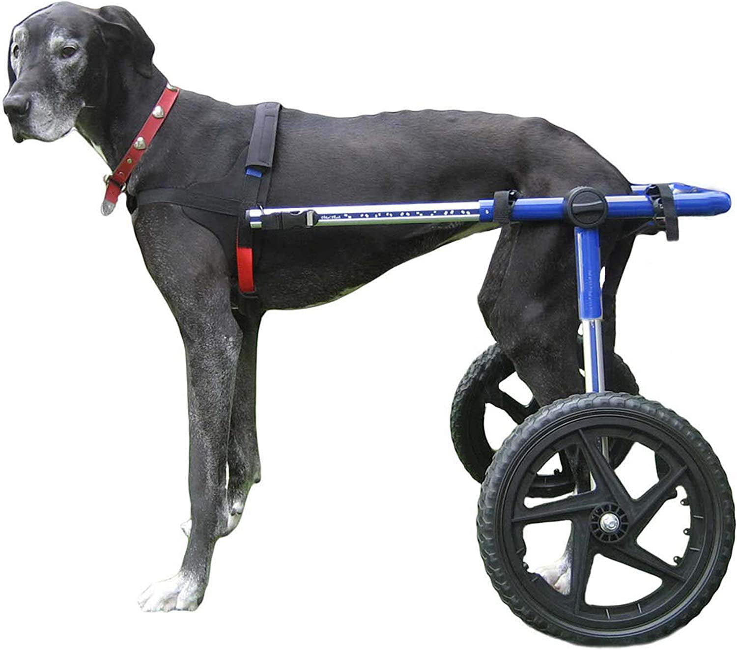 Walkin' Wheels Dog Wheelchair - Vet Approved - Large Dogs 70 -180 lbs ...