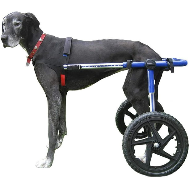 Walkin' Wheels Dog Wheelchair - Vet Approved - Large Dogs 70 -180 lbs ...