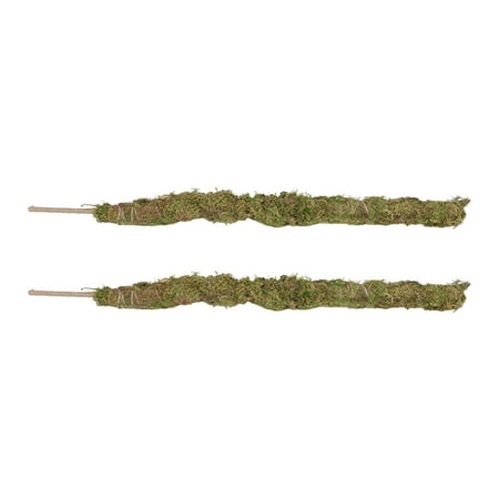 Moss Plant Rod, Moss Pole Helps Plants Grow Upwards Bendable For ...