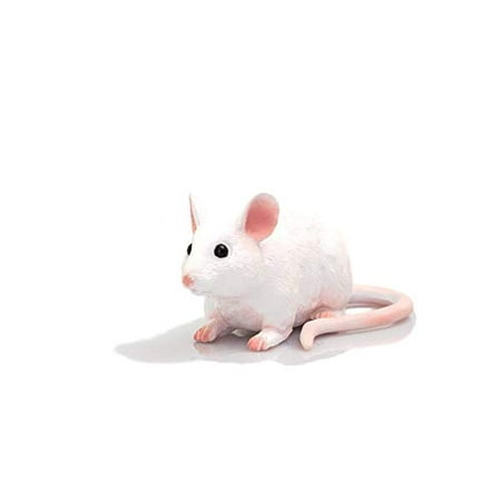 MOJO Mouse Toy Figure | Walmart Canada