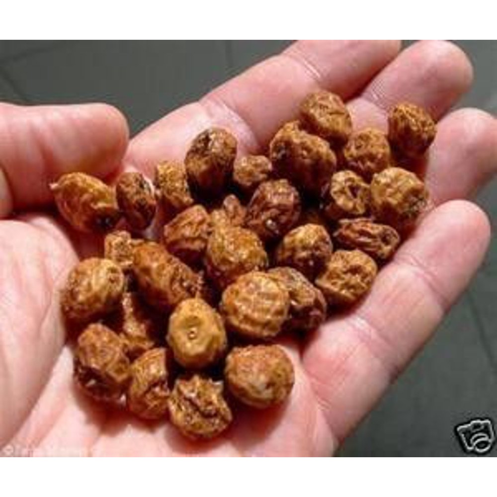 Chufa Seed - 1 Lb. - Walmart.com - Walmart.com