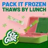 Yoplait Go-GURT Bluey Kids Fat Free Yogurt Variety Pack, Gluten Free, 2 ...