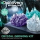 Discovery™ #Mindblown 12-Piece Natural Crystal Growing Science Kit, for ...