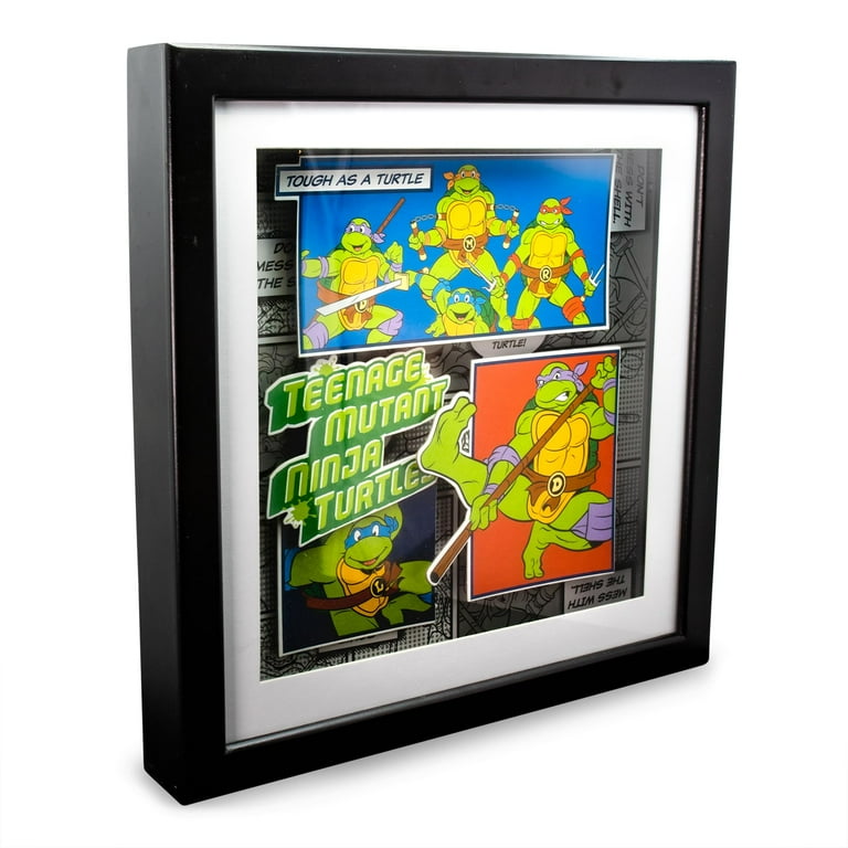 Teenage Mutant Ninja Turtles Frame