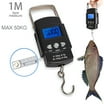 RIWPKFH 50kg/10g Portable LCD Electronic Hand Scale Travel Hanging Fish ...