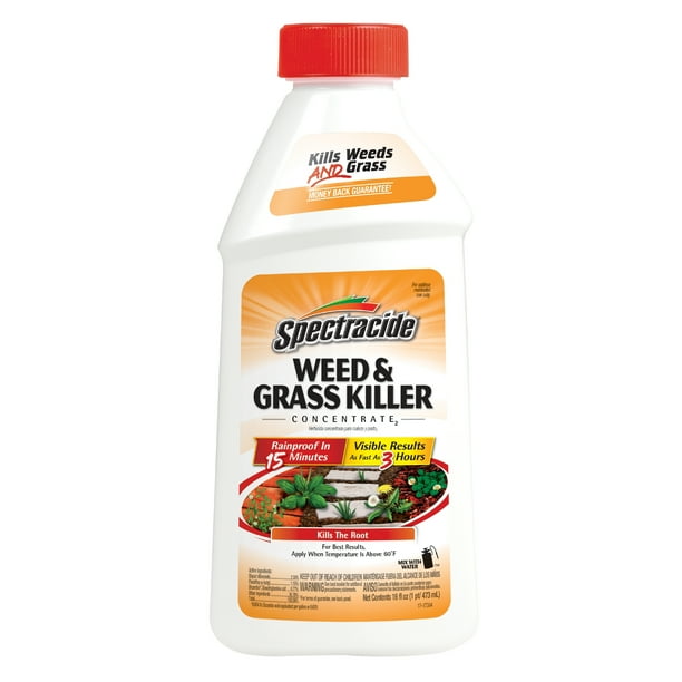 Spectracide Weed and Grass Killer Concentrate, 16 ounces - Walmart.com ...